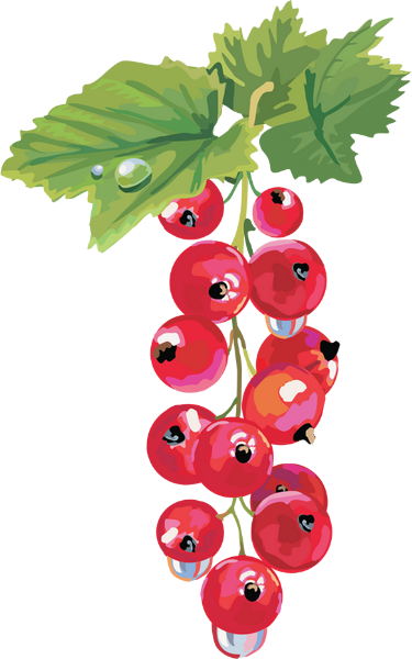 Fruits Cassis Groseilles Myrtilles
