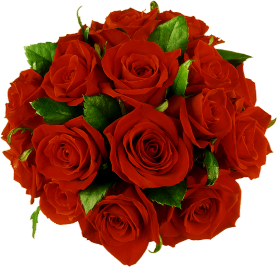 ♥ Tube Fleurs Roses Rouges Png Red Roses Clipart Png ♥