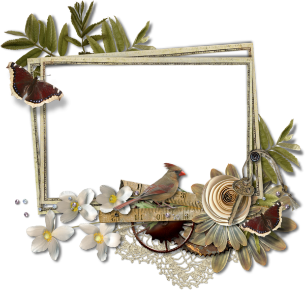 Cadre png, cluster ; Digital scrapbook; picture frame png