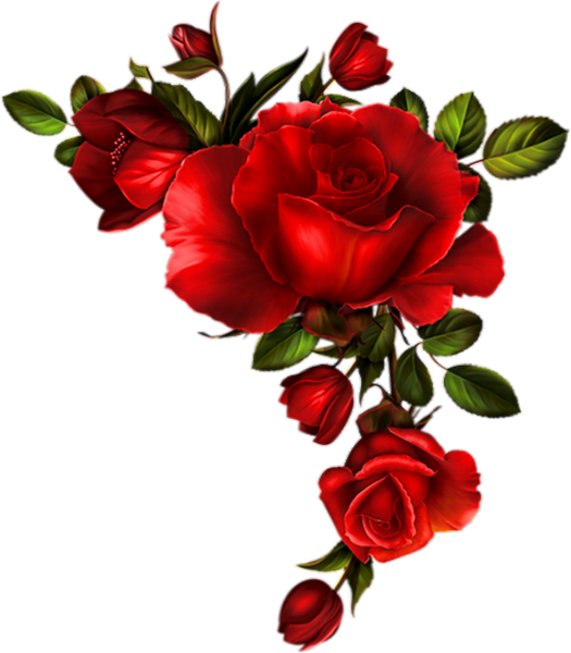 ♥ Tube Roses Rouges Fleur Png Flower Red Roses Png ♥
