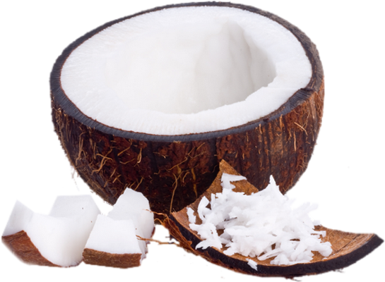 Noix De Coco Png Tube Kokosnuss Png Coconuts Png - vrogue.co Noix De Coco Png Tube Kokosnuss Png Coconuts Png - vrogue.co