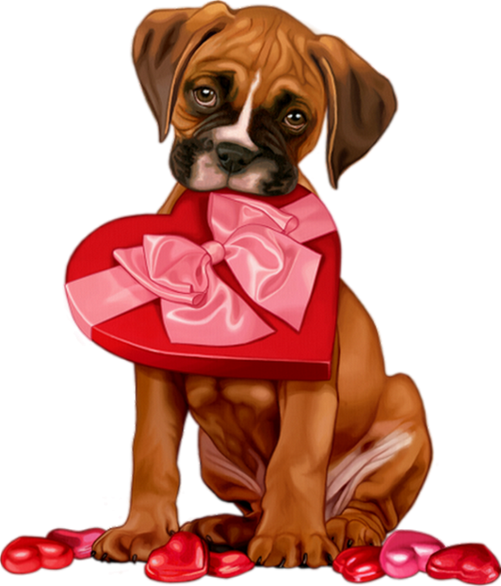 ♥ Tube St Valentin, chien png - Valentine's Day, dog png ♥