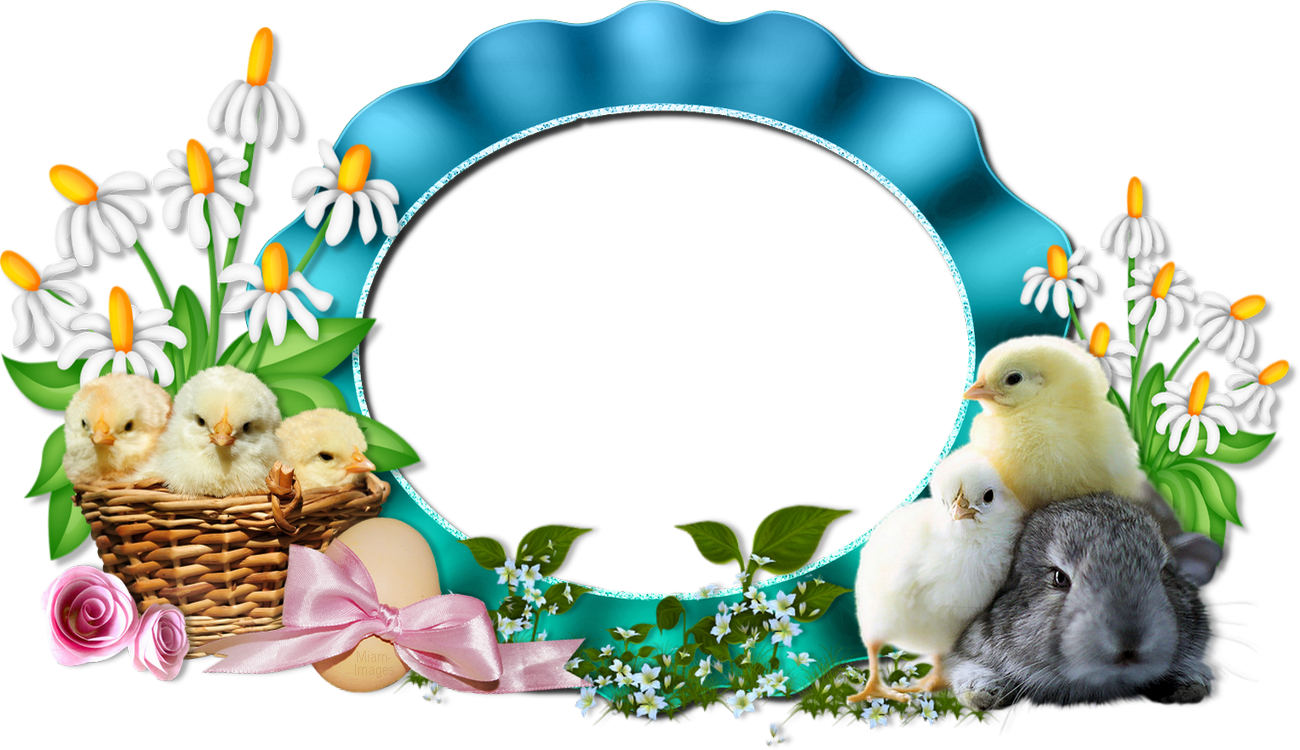 Cadre printemps png, Pâques_Spring frame, Easter