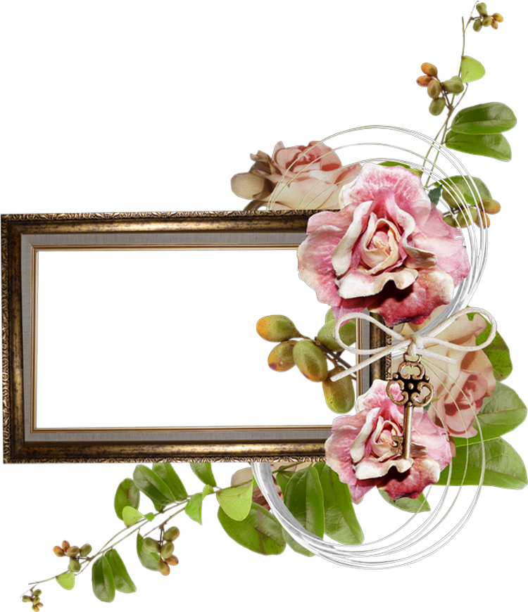 Cluster, cadre fleuri png transparent / Flowery frame png