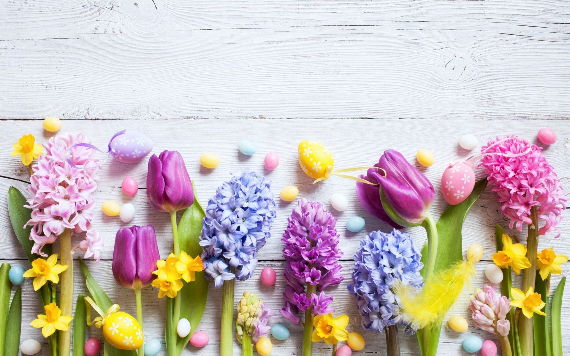 Fond d'écran Pâques, printemps / Easter wallpaper